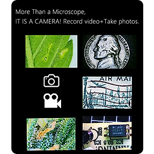 Digital Microscope Wireless Pocket Handheld USB Microscopes, 50x-1000x Zoom Fixed Focus HD Magnifier with LEDs, Inspection Camera Compatible with iPhone, Android Phone, MacBook, Windows PC (Black)