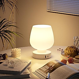 Kakanuo Bedside Table Lamp with Glass Shade, Touch Control, Dual USB A+C Charging Ports, Nightstand Lamp, 3-Way Dimmable, Bulb Included