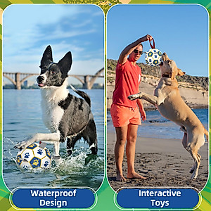 QDAN Dog Toys Soccer Ball with Straps - Durable Dog Balls for Small Medium Dogs, Outdoor Dog Toys, Summer Dog Water Toy, Herding Ball, Puppy Dog Birthday Gifts White (6 Inch)