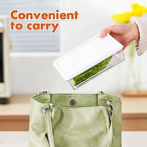 Hemoton Clear Meat Storage Container Bacon Keeper Box Bacon Storage Bins Refrigerator Meat Saver Case Fruit Vegetable Organizer for Home Kitchen 550ml