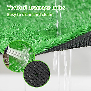 LOOBANI Realistic Artificial Grass Rug Indoor Outdoor, Dog Grass Mat with Drainage Holes and Replacement Artificial Grass Turf, Suitable for Garden Lawn Landscape Balcony Decoration- 3 Feet x 5 Feet