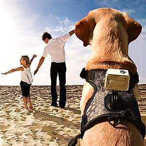 RultSng Pet Dog Harness,Chest Strap Shoulder for Sports Action Camera Fixed Shoulder Strap, Chest Harness Mount Adjustable Chest Strap Belt for Travel Action Cameras Accessories (Size : M)