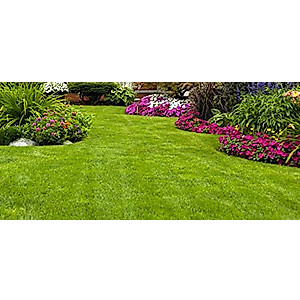 Water Storing Crystals Super Absorbent Hydro Gel Granules Polymer 1 Pound (Small Granular_20-100 mesh)