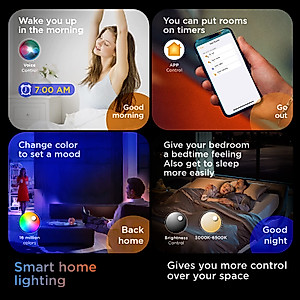 TALOYA Compatible with Apple Homekit/Siri LED Flush Mount Ceiling Light Fixture, 15.8inch 28W Smart Ceiling Light Fixture with RGB Backlight, 3000-6500K Light Changeable, for Living Room, Bedroom