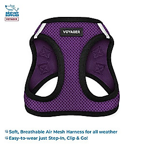 Voyager Step-in Air All Weather Mesh Harness and Reflective Dog 5 ft Leash Combo with Neoprene Handle, for Small, Medium and Large Breed Puppies by Best Pet Supplies - Purple, Small