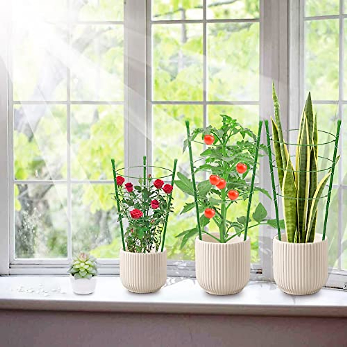 4 Pack Garden Plant Support Tomato Cage, Upgrade 18" Trellis for Climbing Plants, Plant Trellis Kits with 4 Self Watering Spikes and 20 Plant Clips (18")