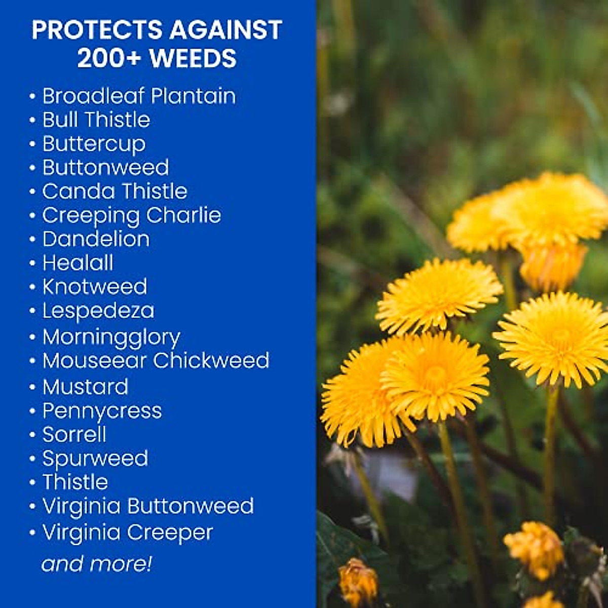 BioAdvanced Season Long Weed Control For Lawns, Ready-to-Spray, 29 oz, 9,000 Sq Ft