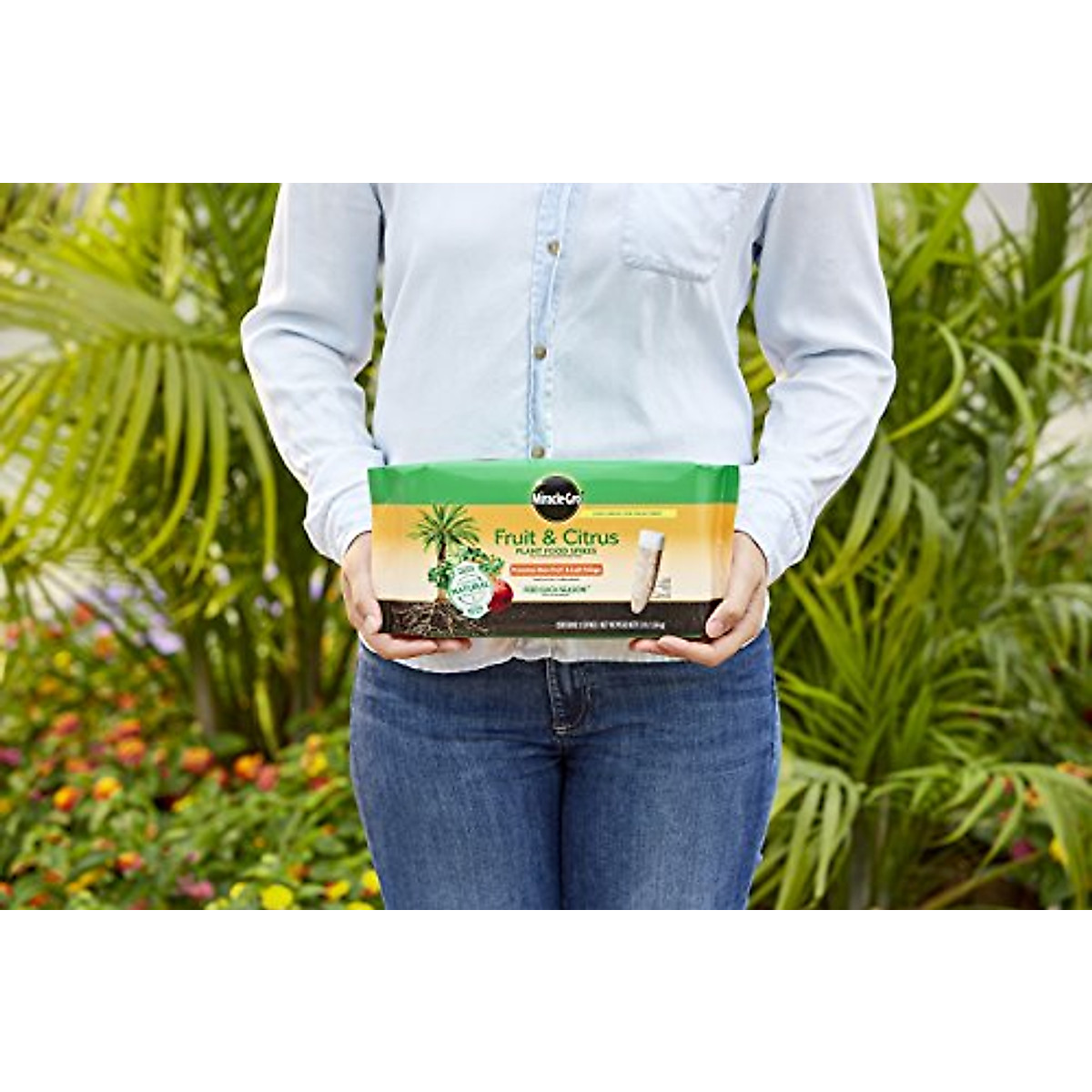 Miracle-Gro Fruit & Citrus Plant Food Spikes 12 per Pack