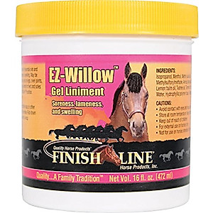 129100 EZ-Willow Gel Liniment, 16 oz