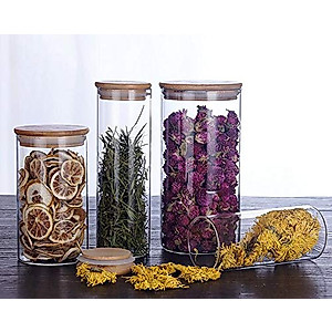 Glass Food Storage Jar Canister - Cylinder Airtight Kitchen Container with Natural Wood Lid for Tea Dry Fruit Nuts Candy Seasoning Spaghetti Coffee Bean Clear Sealing size 250ML/8.5oz