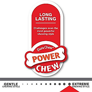 Nylabone Ergonomic Hold & Chew Wishbone Power Chew Durable Dog Toy Large - Up to 50 lbs.