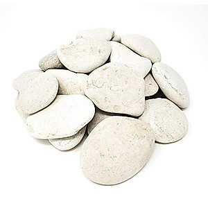 Garden Rocks (White) - Landscaping Rocks For Garden And Landscape Design - 5 Pounds (About 25 Rocks)