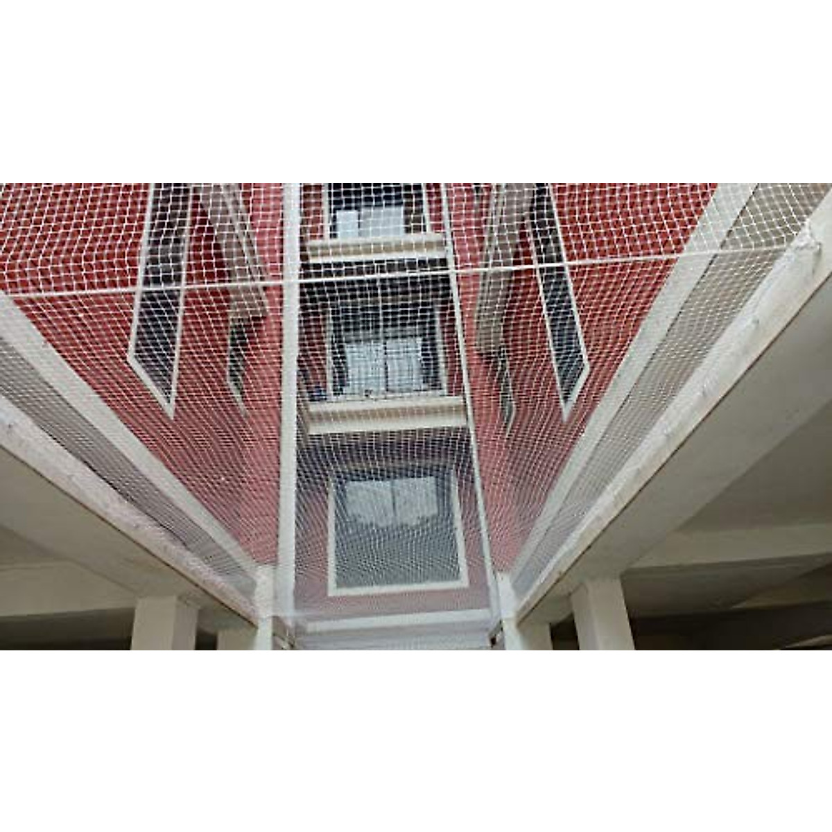 Anti Bird Net-Bird Protection Net Protection from Pigeon Birds & Cat Size: 8x6' (High Density Polyethylene (HDPE)