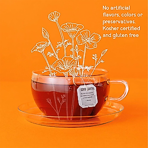 Good Earth Herbal & Black Tea, Sweet & Spicy, 18 Count (Pack of 6) (Packaging May Vary)