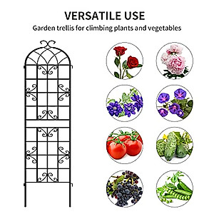 YITAHOME Garden Trellis Garden Fencing for Climbing Plants 4 Pack Decorative Plant Trellis Vegetables and Flower Trellis for Outdoor Patio-19.7×86.6 inches