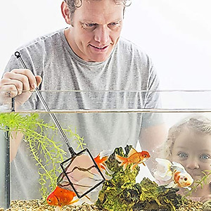 DaToo 5 Inch Aquarium Fish Net for Betta Fish Tank Nano Nylon Net with Extendable Handle 10-25 Inch, 1 Yr Warranty