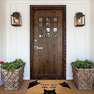 bnil St. Patrick's Day Clover Spring Doormat | Irish Green Four Leaf Clover | 18x30 Inch