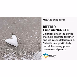 Branch Creek Entry Chloride-Free, Non-Toxic, Liquid Snow and Ice Melt Certified Safe for Pets, Plants, Floors, Concrete, Sidewalks, and Metal for Residential or Commercial Use (0.5 Gallon)