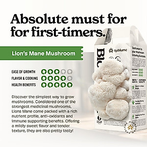 NuBlume Organic Lion's Mane Mushroom Grow Kit | Grow Your Own Fresh Gourmet Mushrooms at Home | Edible Indoor Mushroom Growing Kits Great Gift