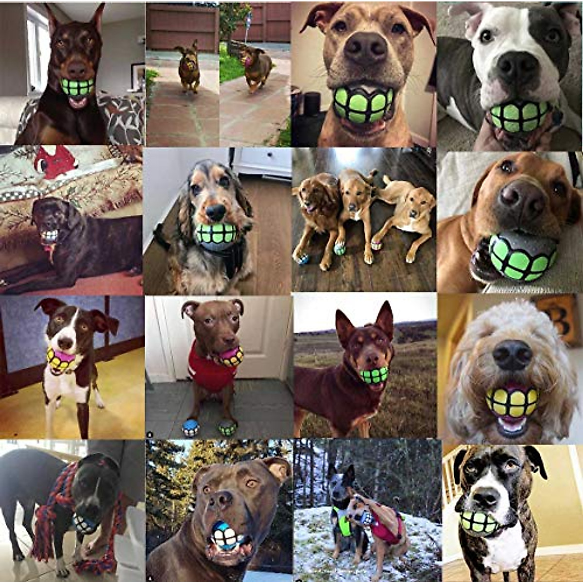 Dawg Grillz Dog Balls Toys Squeaky Fetch - Rubber Funny Ball Gifts for Large Medium Dogs (Variety Pack)