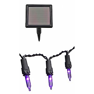 DecoBrite Halloween Solar Purple String Lights Outdoor 21ft (6.3m) 50 ct LED Mini Lights on Black Wire for Garden Tree Yard Patio Party Decoration (Purple)