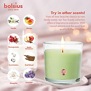Bolsius Green Tea Scented Candle - Premium Long-Lasting Candle Jar, 43+ Hours Burning Time - Natural Candle with Plant-Based Wax- Smokeless. Clean-Burning Aromatherapy Candle - Large, 8oz Glass Jar