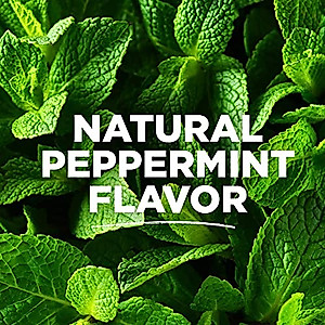 Activated Charcoal Toothpaste- Peppermint Fluoride Free Tom's Of Maine 4.7 oz Pa