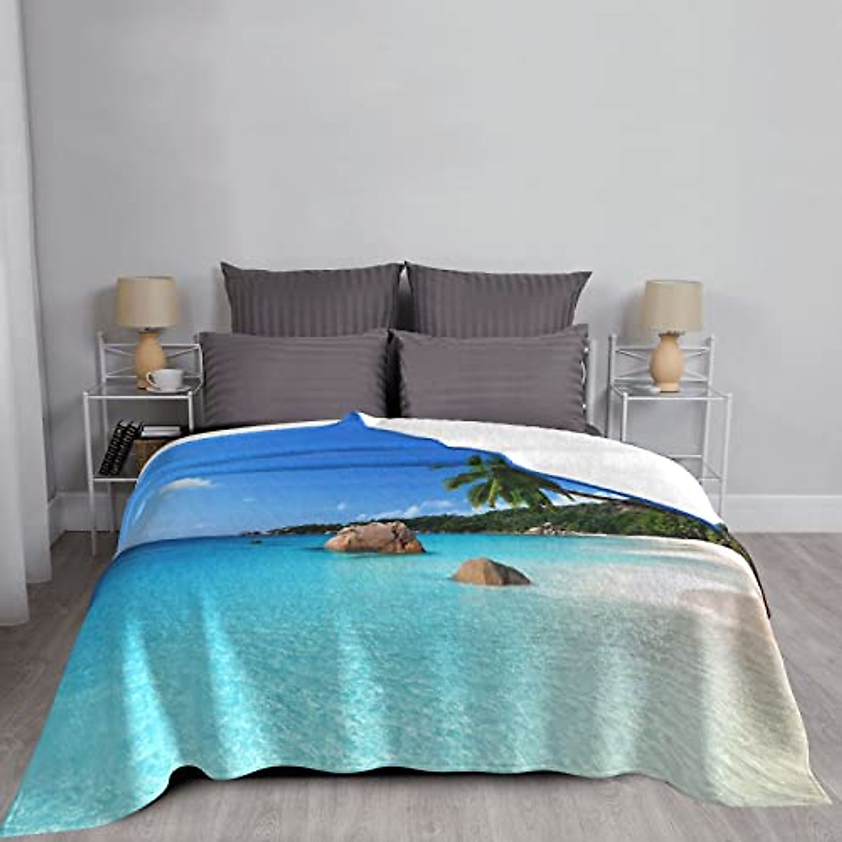 Ultra-Soft Micro Fleece Throw Blanket,Beach and Coconut Trees,Warm Lightweight Decorative Throw Blanket for Bed Couch Sofa Chair Living Room Bedroom 60" x 50"