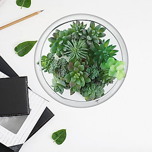 Fake Succulent, Artificial Succulents, Faux Succulents, Artificial Succulents Plants, Fake Succulent Unpotted, Bulk Artificial Succulents for Birthday Home Decor Indoor Wall Garden DIY, Pack of 13