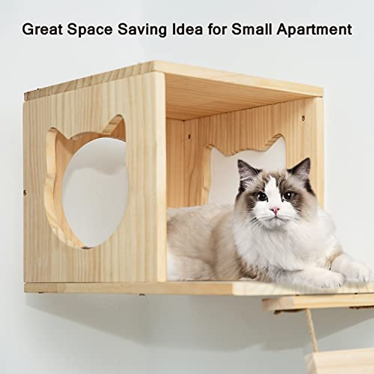 Cat Wall Shelves, Cat Shelves and Perches for Wall, Cat Wall Furniture Set 5 PCS Cat Wall Mounted with 1 Cat Condos House, 2 Cat Wall Shelves, 1 Cat Sisal Scratching Post, 1 Ladder