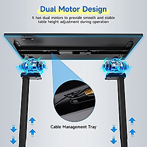 Soohow Electric Standing Desk 48 x 24 Inches Adjustable Height Desk, Dual Motor Stand Up Computer Desk, Black Tabletop (120 x 60 cm), Black Frame for Home Office