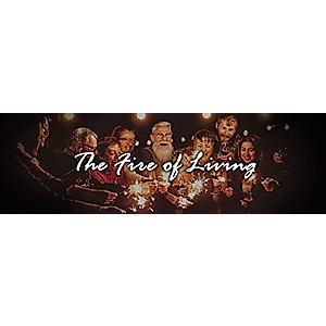 Fire Sense 62333 Chrome Finish Commercial Series Patio Heater Head Assembly Replacement Fits With Models 60485, 61185, 61444, 60368, 60788, 61629, 60688, 61130 & 60763