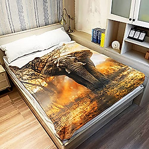 HommomH 50"x60" Orange African Elephant Blanket Soft Fluffy Fleece Throw for Women