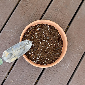 Monstera Houseplant Potting Soil Mix (8 Quarts), Custom Blend for Growing and Repotting