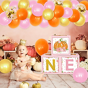 Fall Pumpkin First Birthday Balloon Boxes One Box Blocks Decorations Thanksgiving Birthday Cake Smash Party Photo Props Backdrop (Pink)