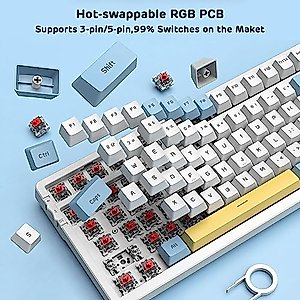 99 Keys Wireless Mechanical Keyboard with Coiled Cable, Bluetooth5.0/2.4G/Wired Gaming Keyboard, RGB Hot Swappable Red Switch Keyboard with Knob Control, PBT Keycaps,Gasket Mounted for PC/Mac/Windows