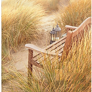 WholesaleTeak New Grade A Teak Wood Luxurious Outdoor Garden 5 Feet Bench - Terra Collection #WHBHTR5