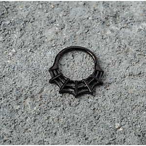 Pierced Owl 16GA Stainless Steel Spider Web Hinged Segment Clicker (Silver Tone, 8mm Diameter)