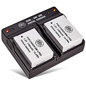 BM Premium 2-Pack of LP-E8, LPE8 Batteries and Dual Battery Charger Kit for Canon EOS Rebel T2i, T3i, T4i, T5i, EOS 550D, EOS 600D, EOS 650D, EOS 700D DSLR Digital Camera