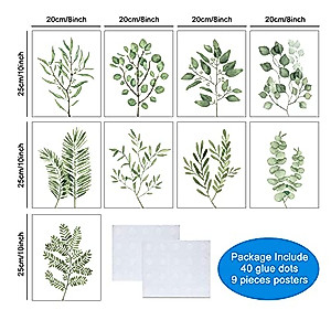 Tevxj 9PCS Botanical Plant Wall Art Prints Green Plant Wall Decor Boho Herb Wall Decor Pictures Minimalist Wall Art Photo Prints for Living Room Kitchen Leaves (8"x10", Unframed)