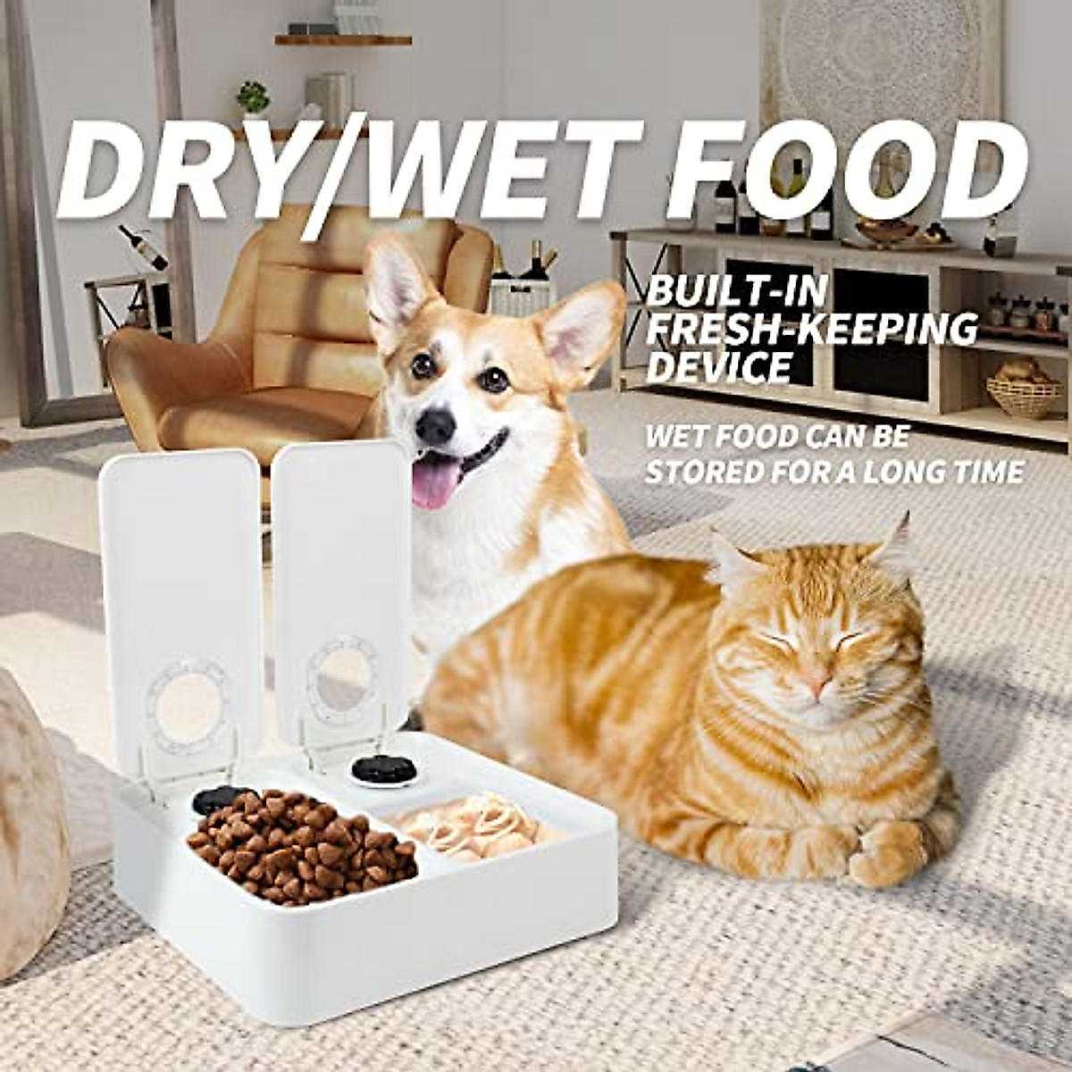 All for Paws Automatic Cat Feeder 2 Meal Dog Feeder, Dry and Wet Food Dispenser with 48-Hour Timer, Ice Pack Included, Dishwasher Safe