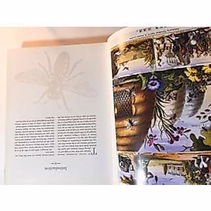 The Beekeeper's Bible: Bees, Honey, Recipes & Other Home Uses