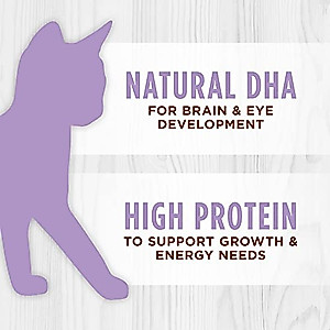 Original Chicken, Wet Canned Cat Food for Kittens, 5.5 oz (Case of 12)