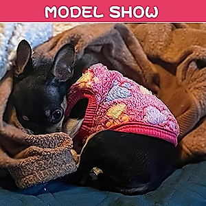 2 Pieces Small Dog Sweaters Chihuahua Fleece Clothes XXS~S Winter Warm Puppy Sweaters Boys Girls Tiny Dog Outfits for Teacup Yorkie Puppies Extra Small Breed Costume (XX-Small)