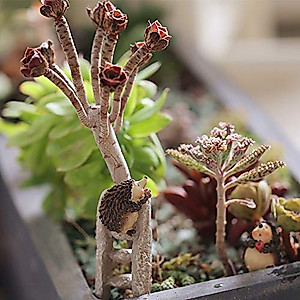 MUAMAX Miniatures Hedgehog Figurines Fairy Garden Hedgehog Accessories Suppliers Mini Hedgehog Animals Micro Landscape Bonsai Craft Decor Miniature Garden Ornaments