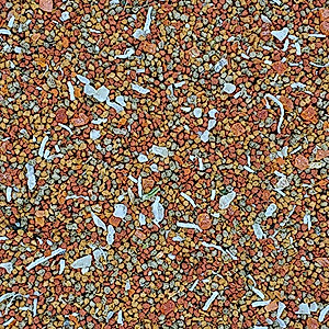 Intune Higgins Harmony Canary/Finch Food 2Lb