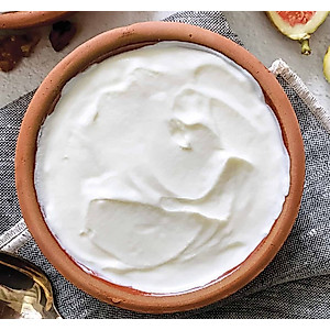 TEMPEHSTATION Greek Yogurt Starter Culture Kit-Culture&hand painted ceramic Handi Lid Dahi/Curd pot|easy to produce large batches 2 gms each sachet|Heirloom|-Strains L. bulgaricus &Streptococcus thermophilus