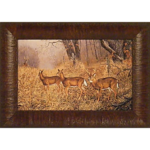 New Arrival by Terry Doughty 11x15 Deer Buck Doe Corn Field Framed Art Print Wall Décor Picture