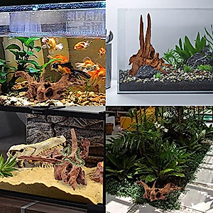 PINVNBY Natural Aquarium Driftwood Assorted Branches Reptile Ornament for Fish Tank Decoration Pack of 3