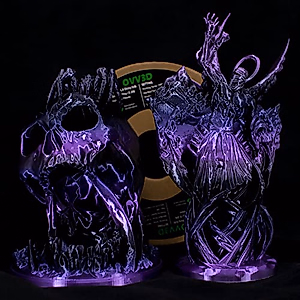 2 Pack PLA Filament 1.75mm, 3D Printer Filament Tri-Colors Rainbow PLA Filament Silk PLA Red-Yellow-Blue with Silk Black Purple, 2kg